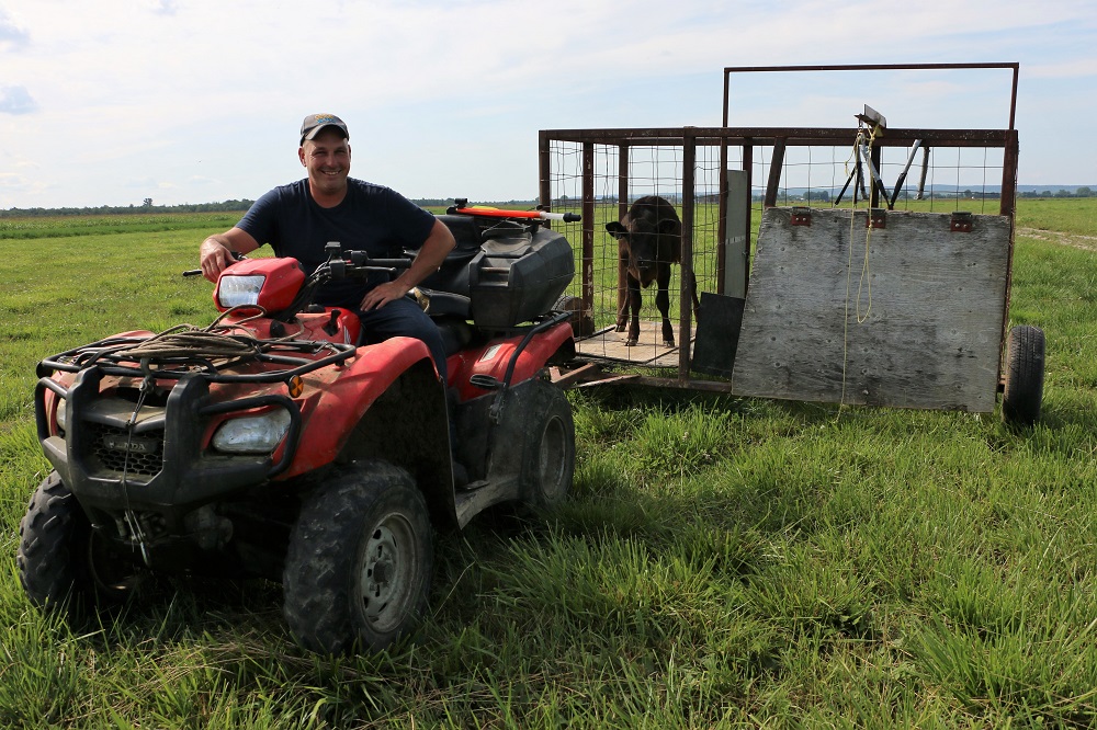 Mario Hamelin, adepte du pâturage | Coopérateur