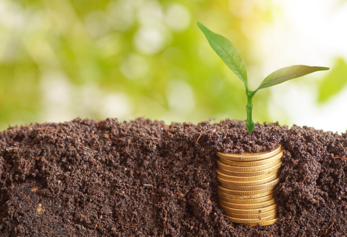 La clé de la compétitivité agricole : investir plutôt que produire plus ...